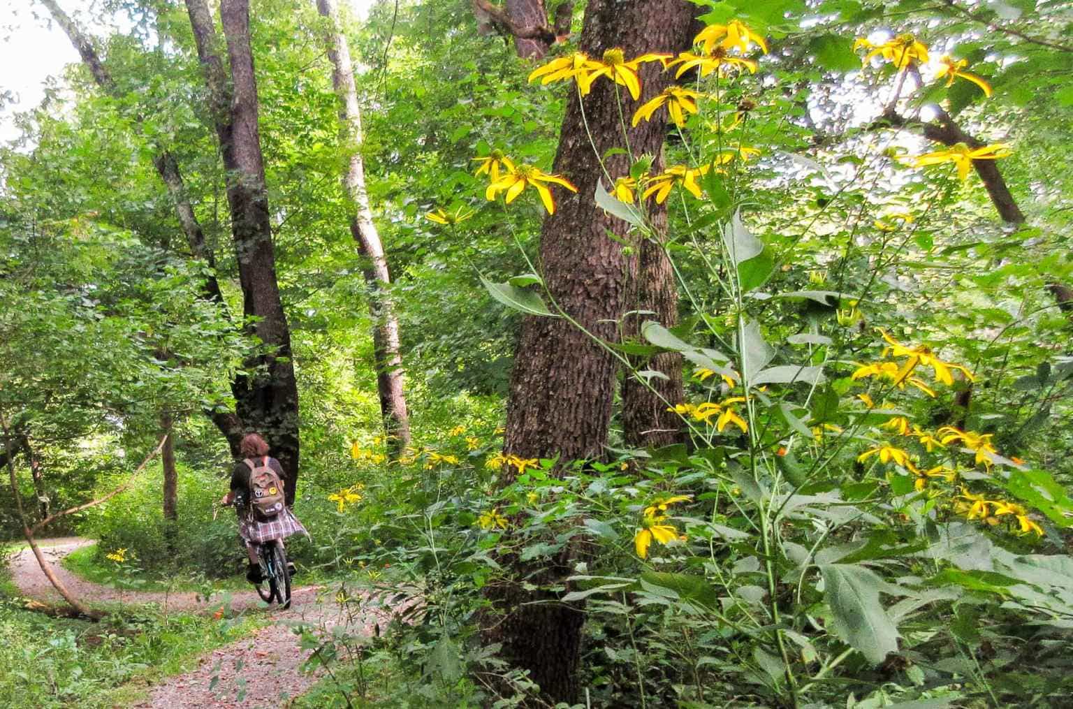 Community invited to explore origins of the Nature Park, Learning Trail ...
