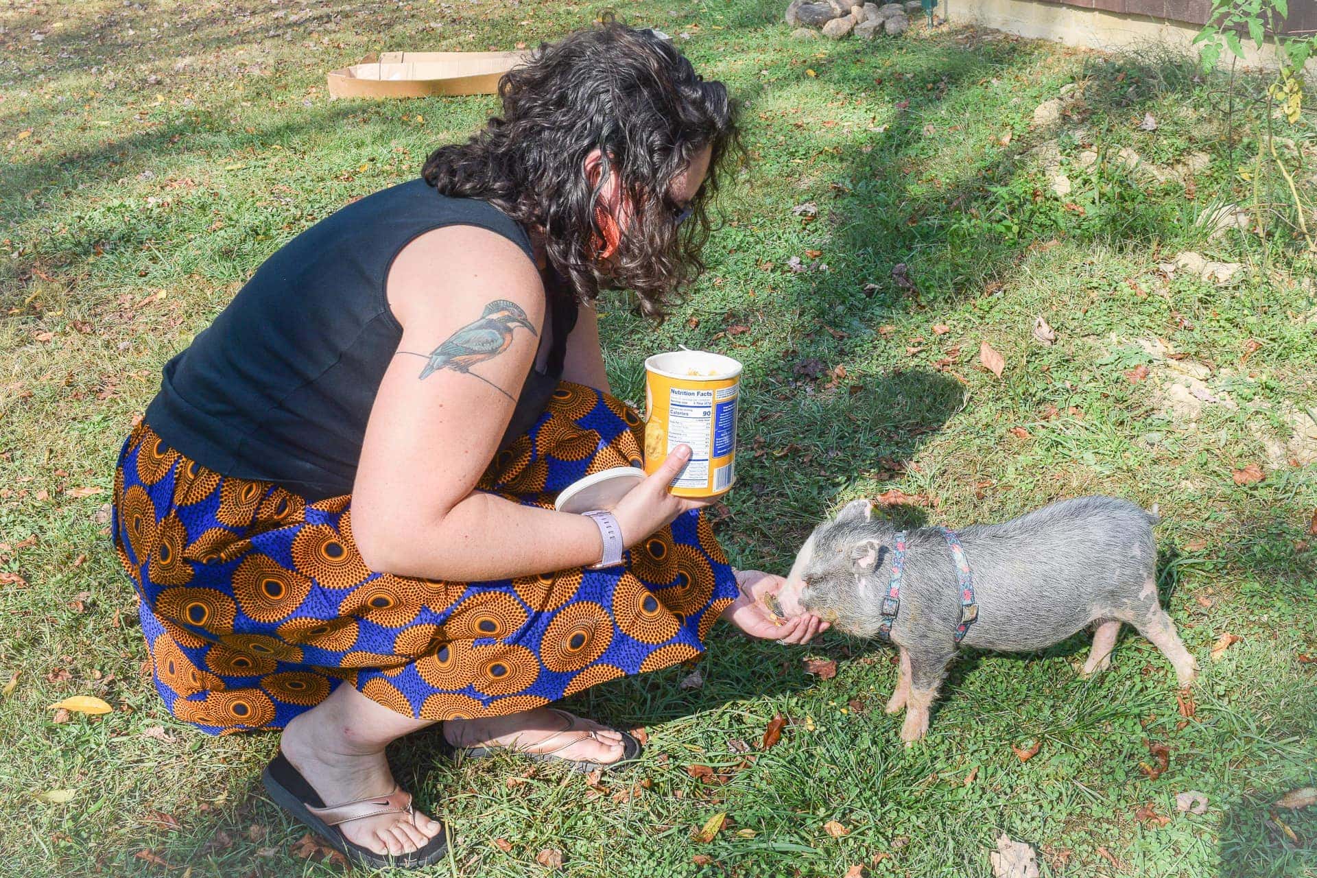 A swoon-worthy swine: Introducing Miss Piggy, whose favorite pastimes ...