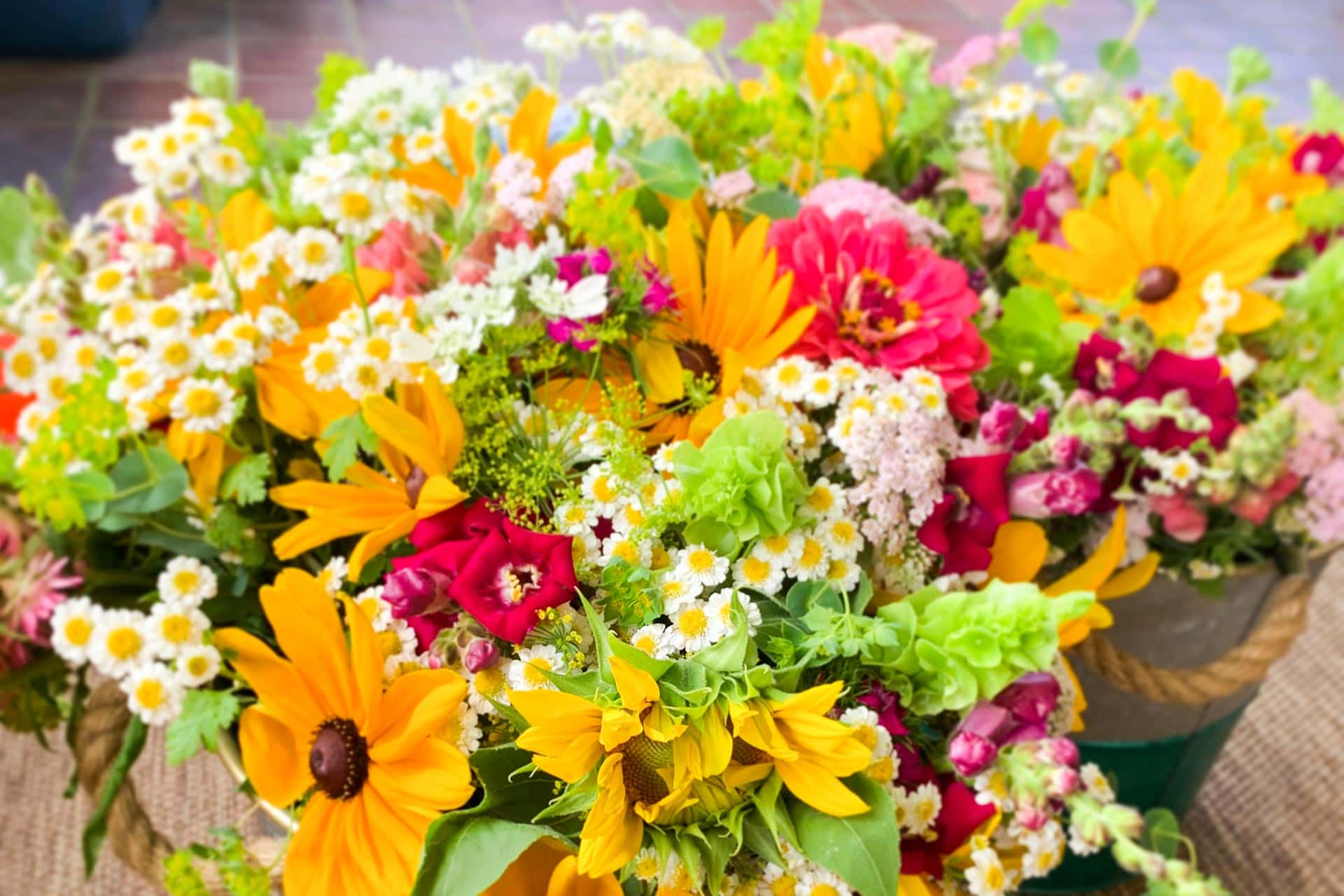 Business at local flower grower Three Little Buds is blooming