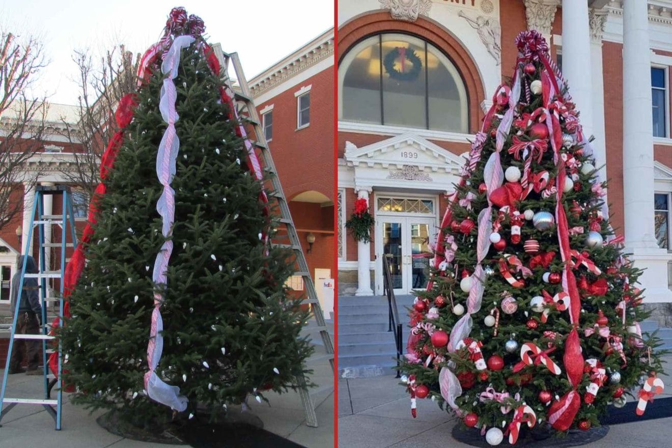 Fred Brooks Garden Club decorates courthouse Christmas tree with ...