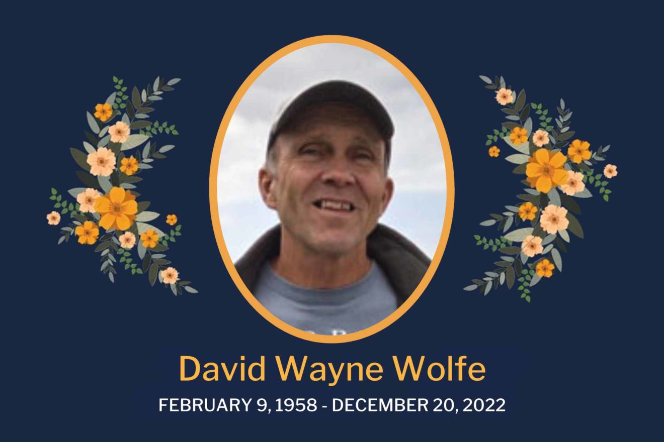 David Wayne Wolfe