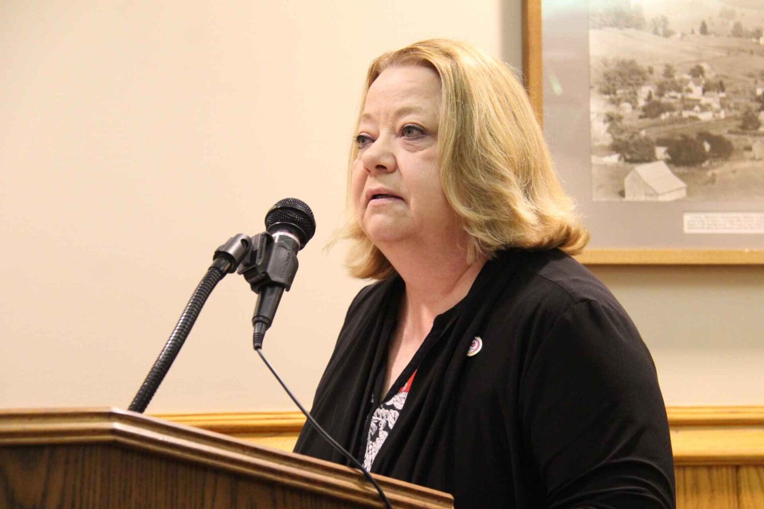 Mountain CAP of WV assisted over 2,000 individuals in 2023, focusing on ...