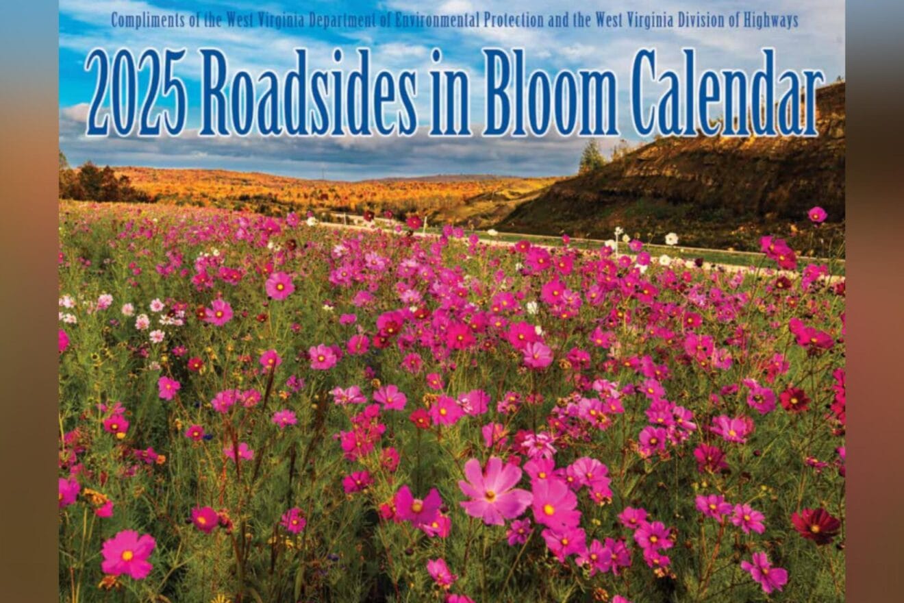 WVDEP's Roadsides in Bloom calendar submission deadline approaching