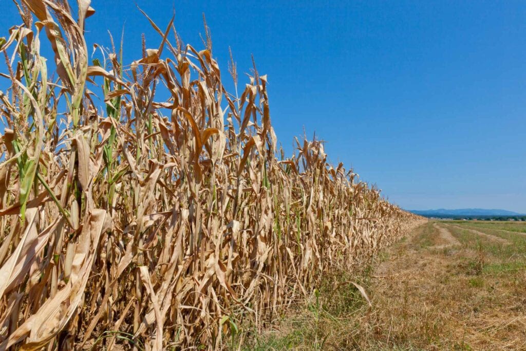 West Virginia Drought Recovery Program accepting enrollment