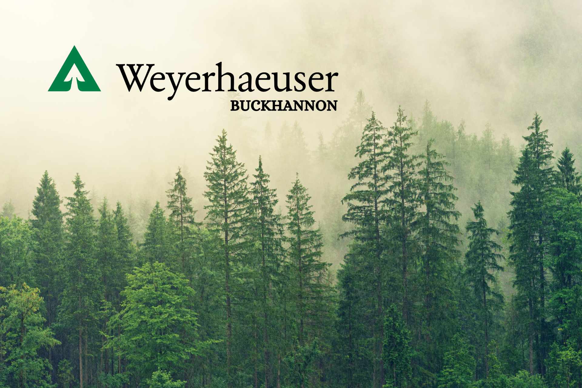 Weyerhaeuser to invest $1 million in Buckhannon through THRIVE program
