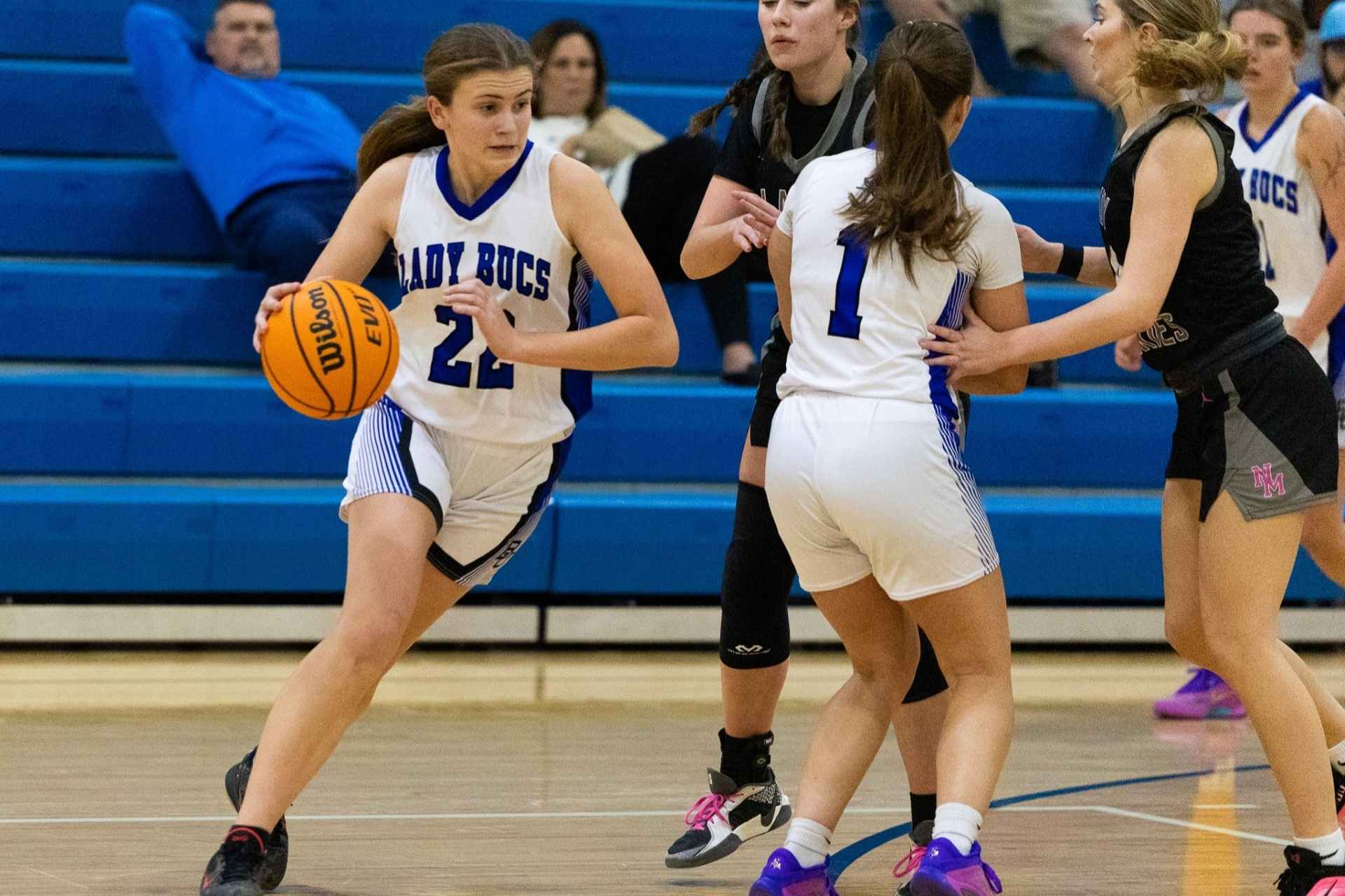 Lady Buc basketball program to sponsor "Pink Out" game Feb. 10 against ...