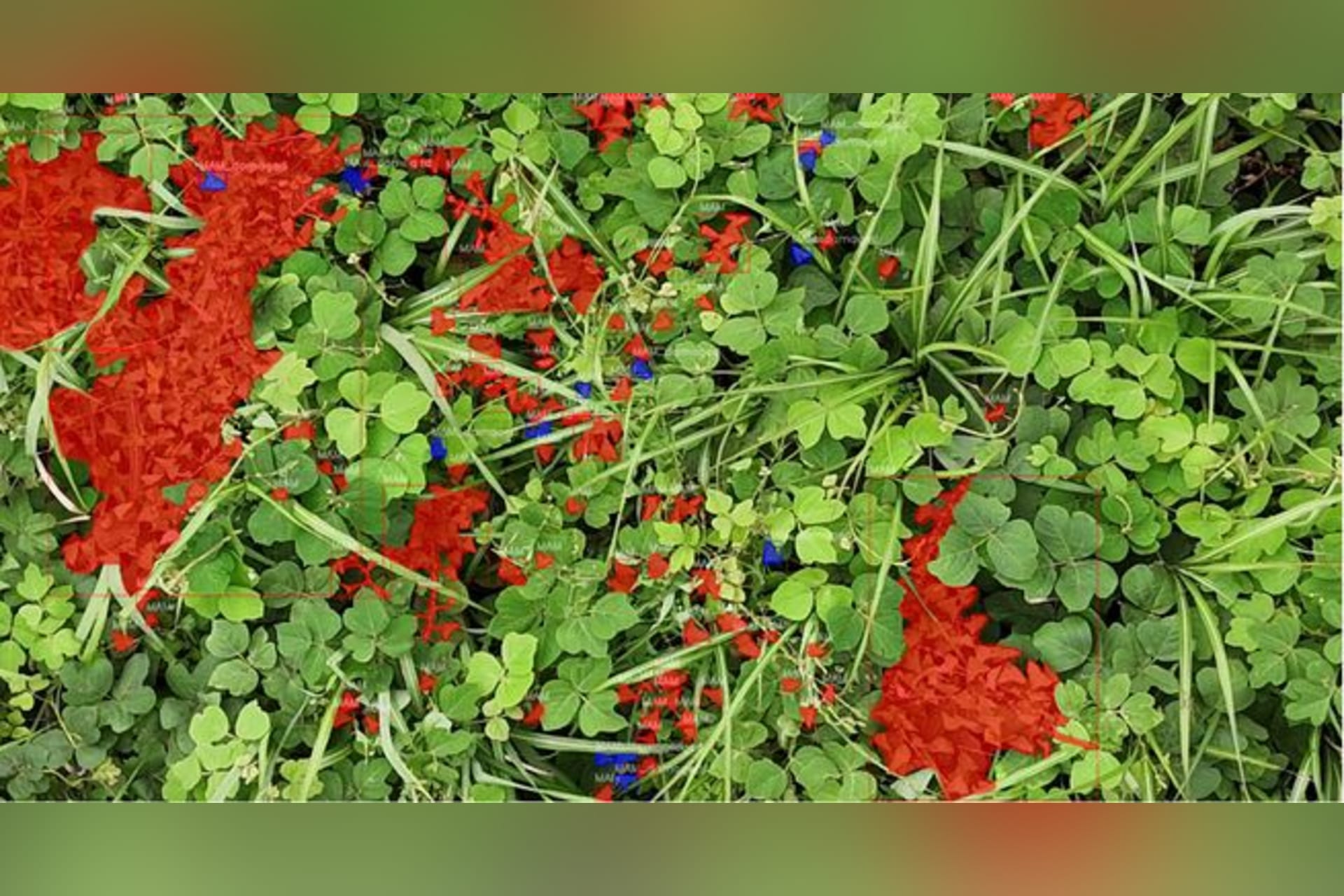 Drones, AI and 40 terabytes of bugs: How new tools at WVU are powering ...